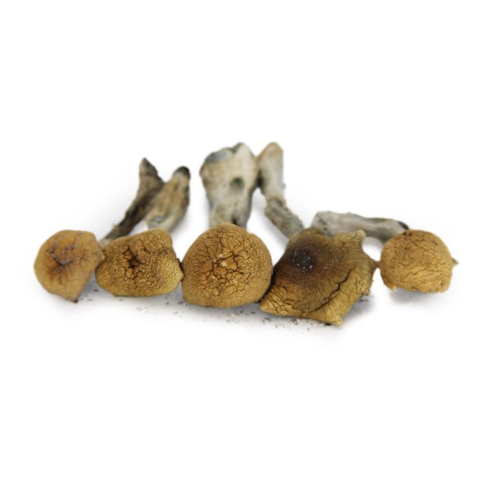 Texas Yellow Caps – Cheap Canna
