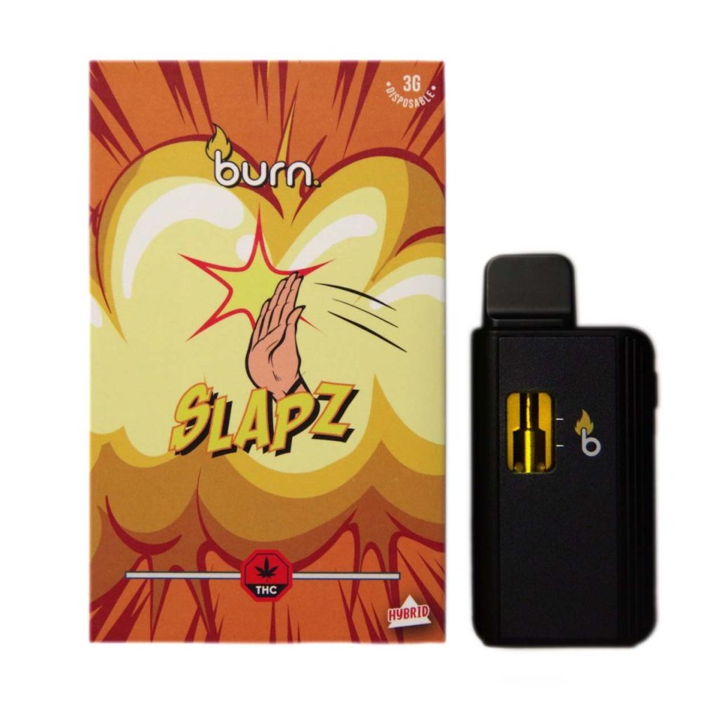 Burn Disposable – 3 Gram Vapes – Cheap Canna