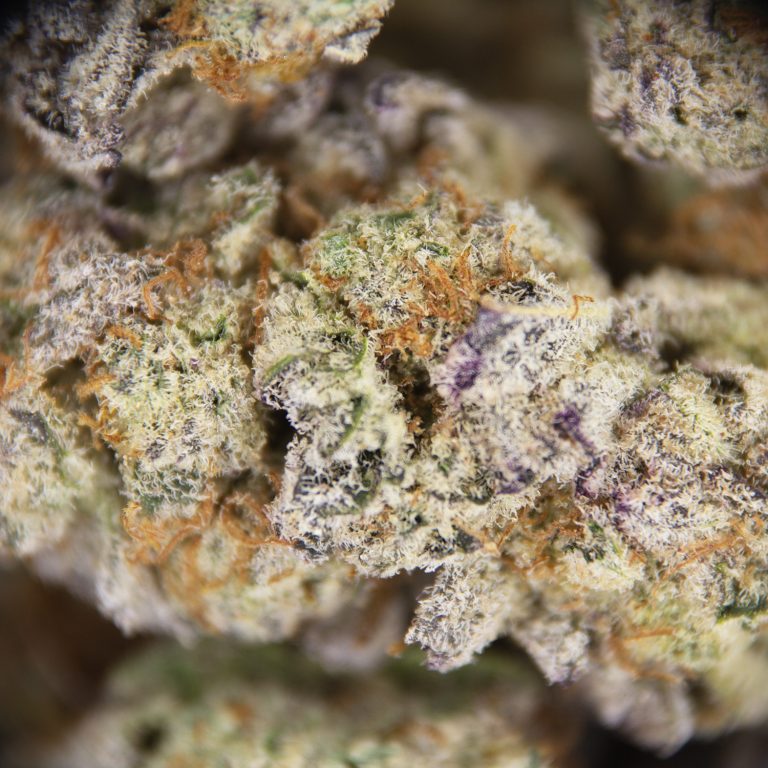 Cheap Canna – The Cheapest Marijuana Mail Order Service in Canada
