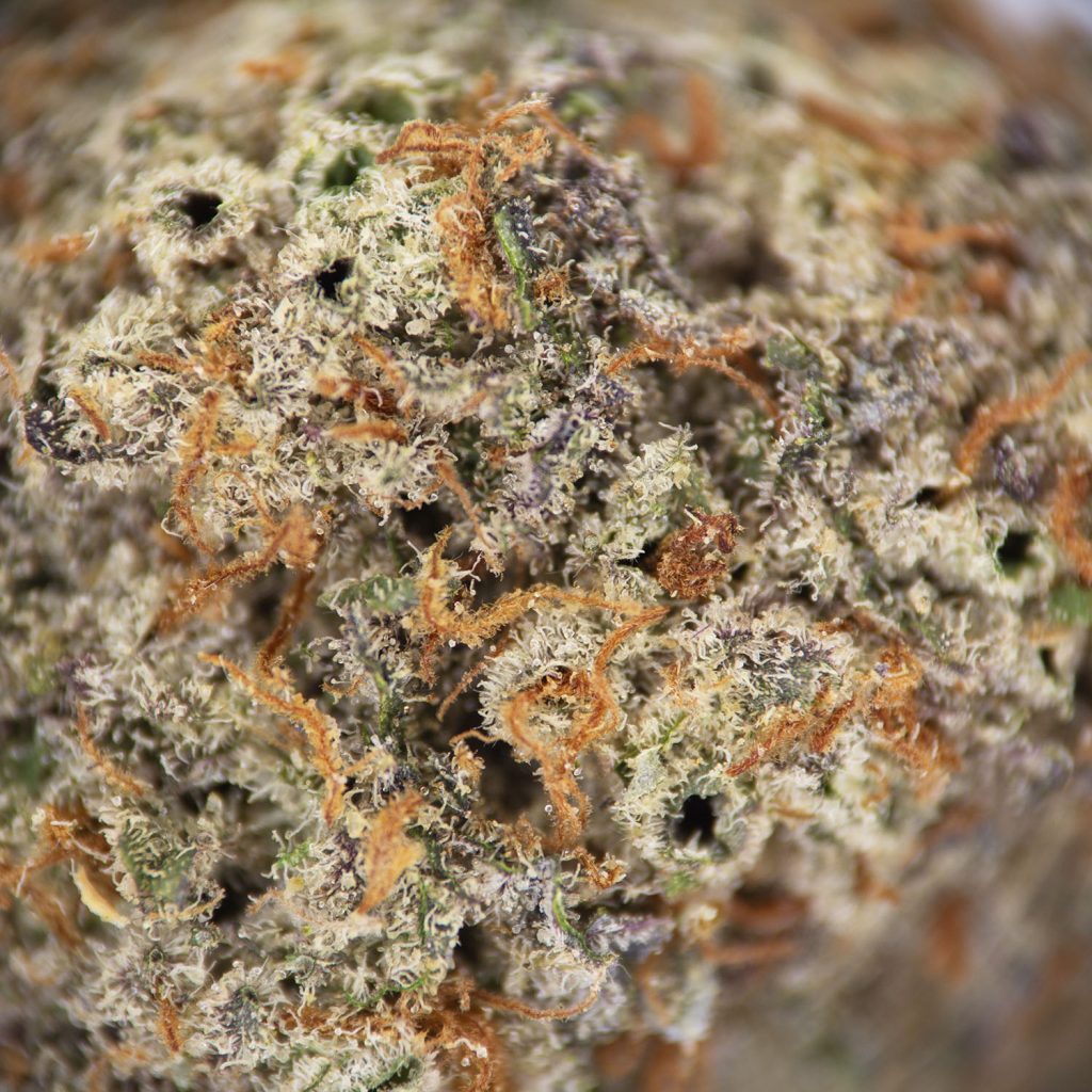 Cheap Canna – The Cheapest Marijuana Mail Order Service in Canada