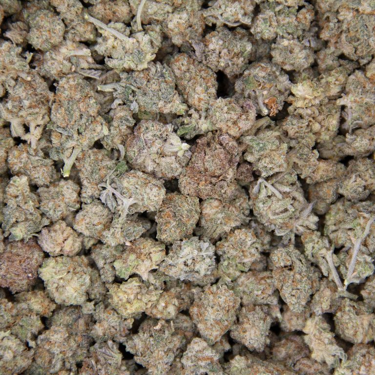 Lemon Cake (popcorn) AA – Cheap Canna