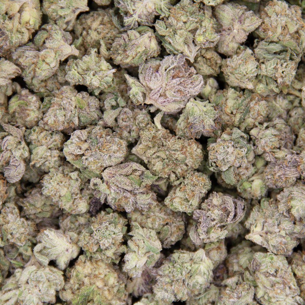 London Marker (smalls) AAA – Cheap Canna