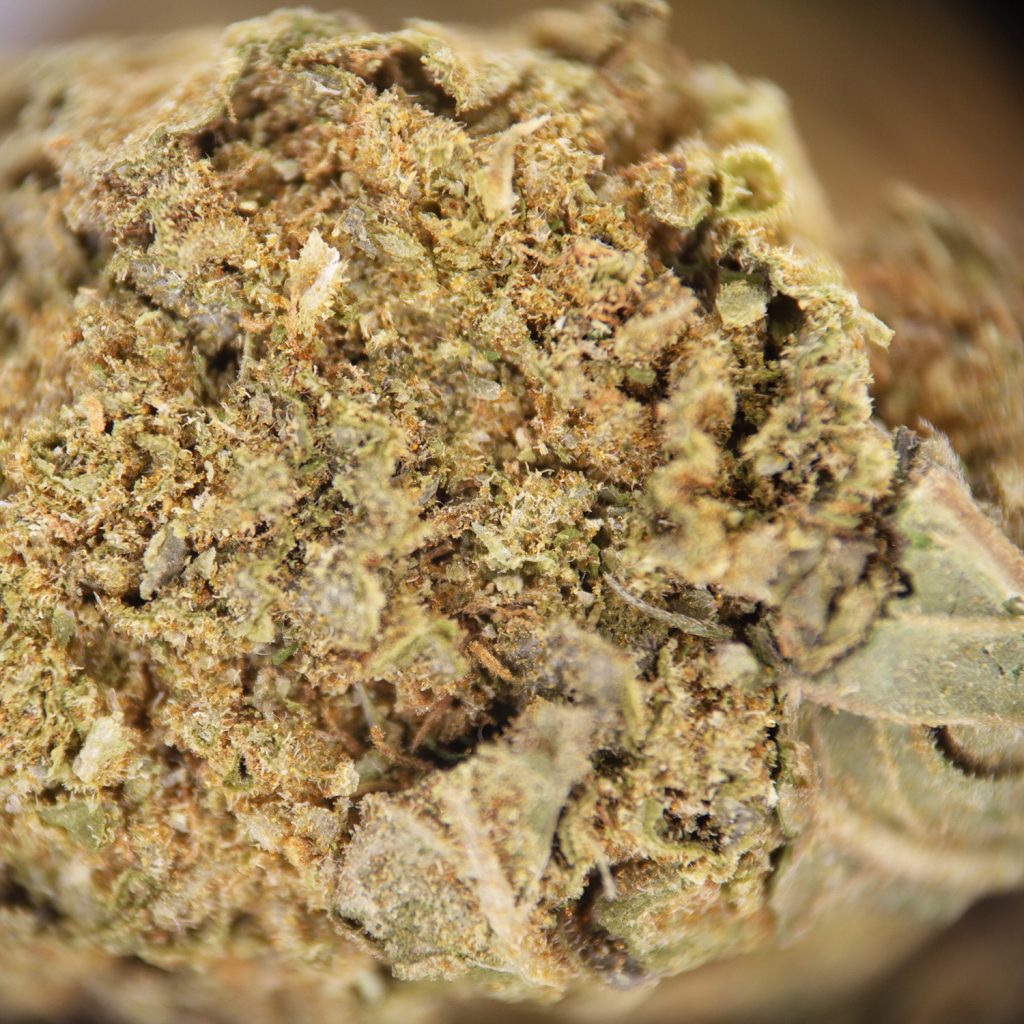 Cheap Canna – The Cheapest Marijuana Mail Order Service in Canada