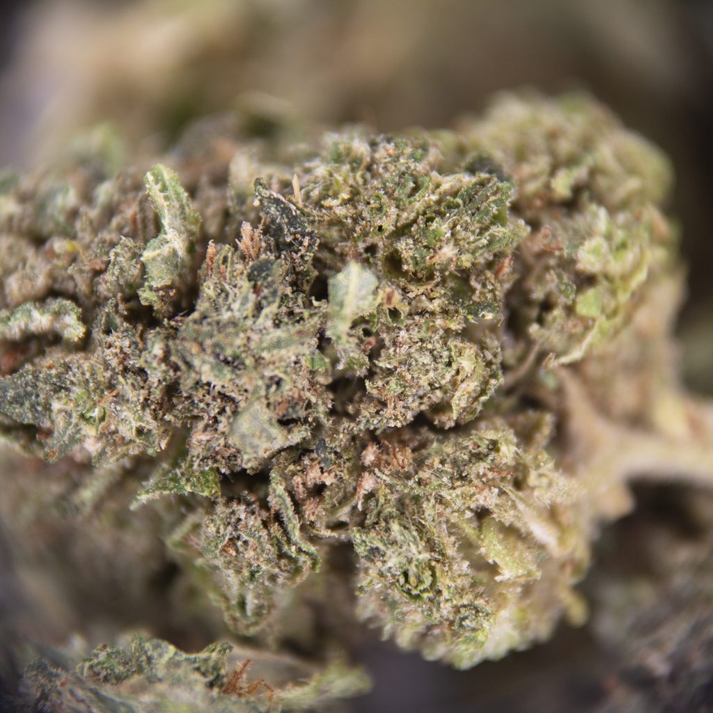 Super Skunk (mediums) AA – Cheap Canna