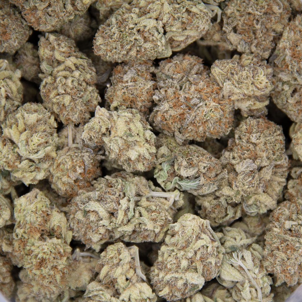 Lemon Tart AA+ – Cheap Canna